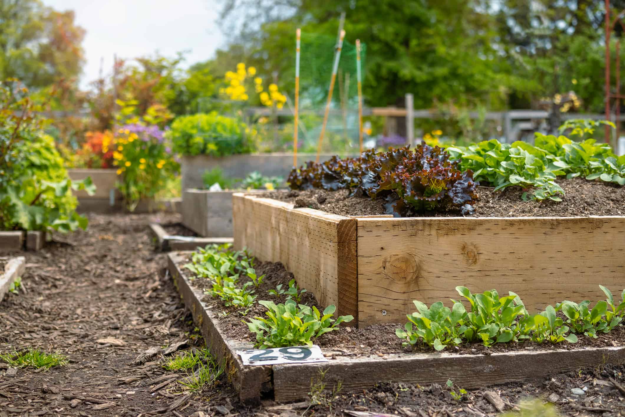 At Blomidon, You Have to Love April! - Blomidon Nurseries