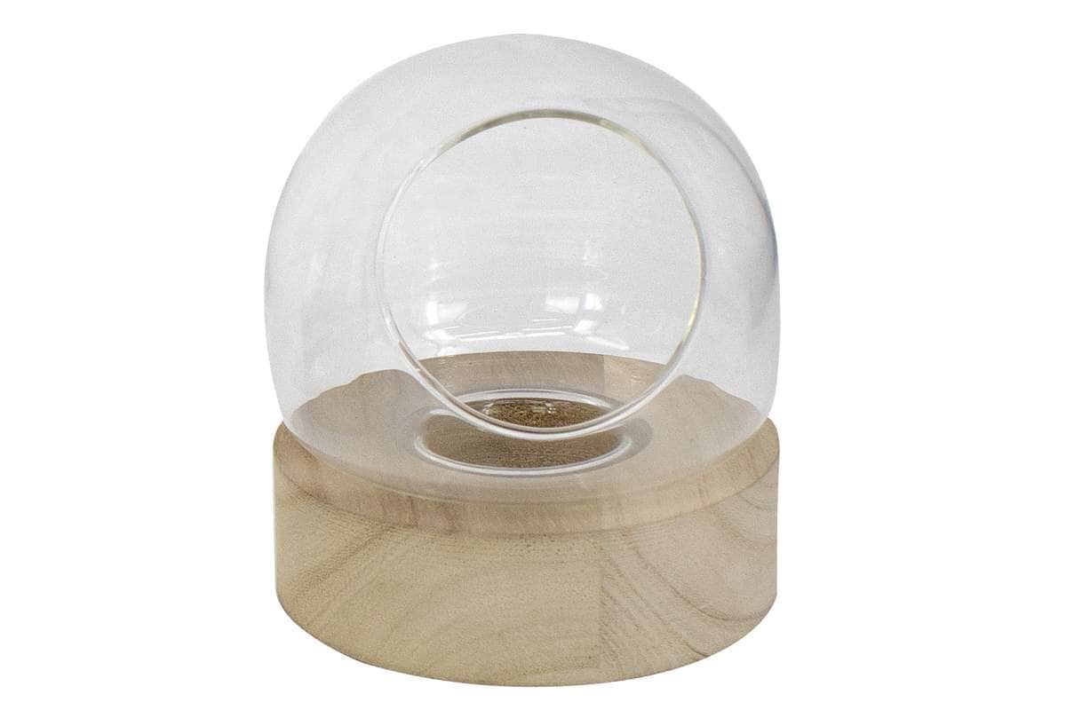 Terrarium round shape natural wood base 7? - Blomidon Nurseries
