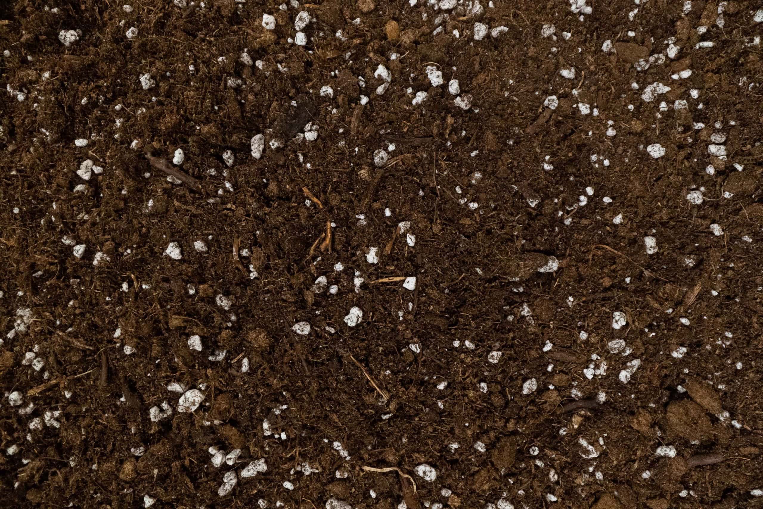 Lambert LM111 All Purpose Mix (85L Loose Fill) - Blomidon Nurseries